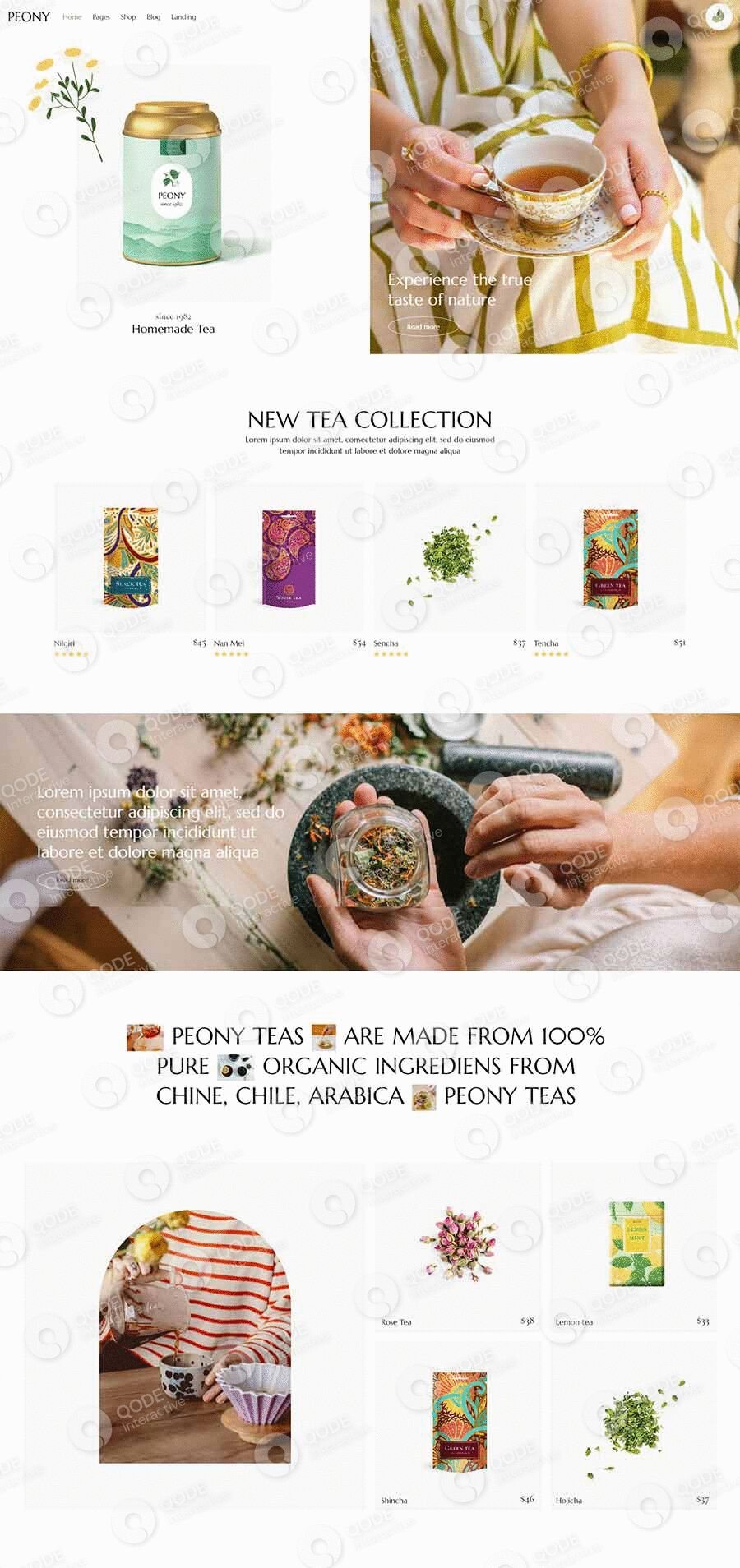 Landing - Eleven Basmati